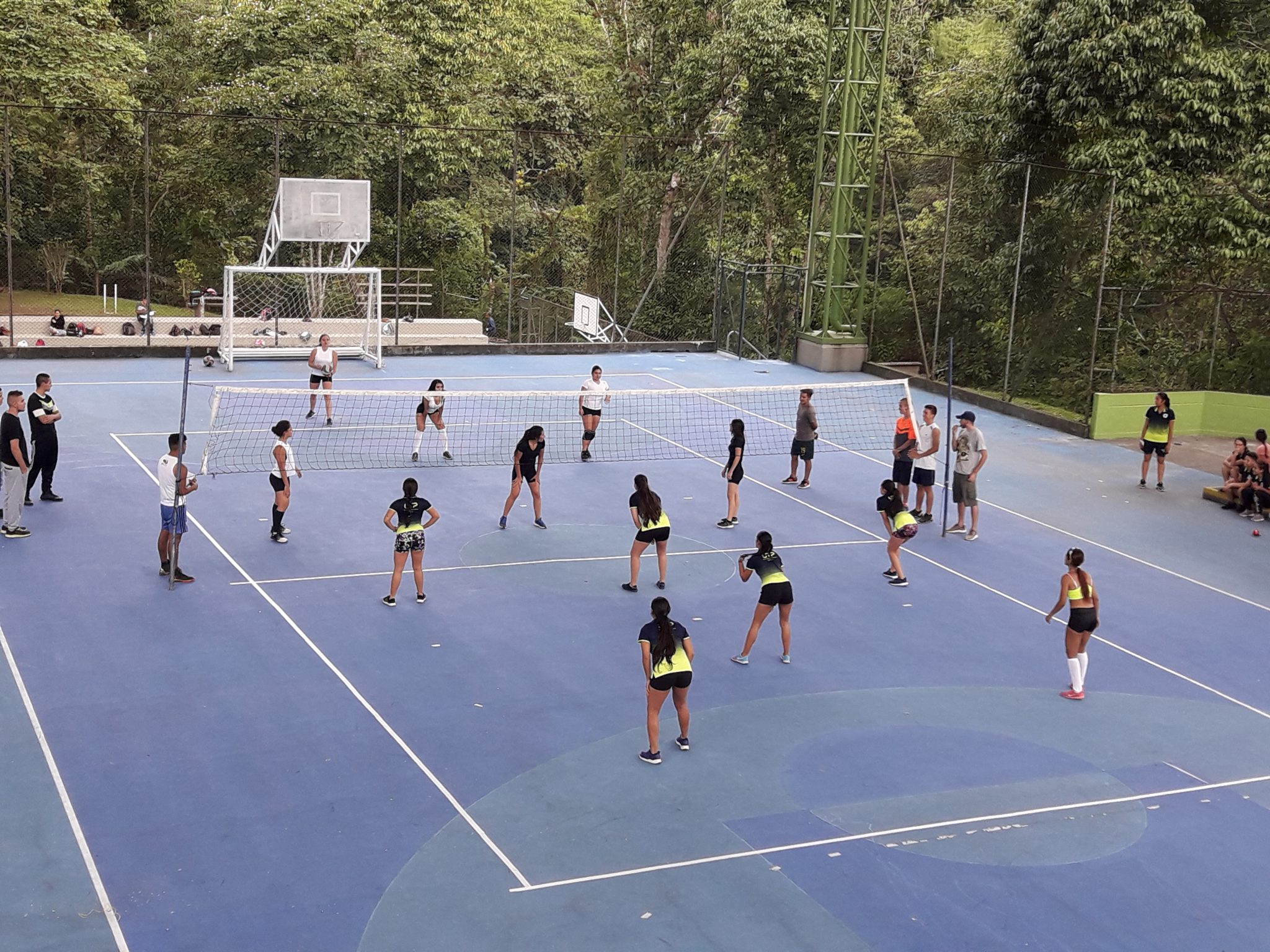 VOLEIBOL 5° SEMESTRE – VOLEIBOL U.T.P